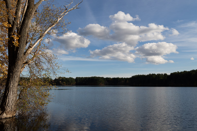 Where Your Water Comes From: A Guided Walk at Middleton Pond - Ipswich ...